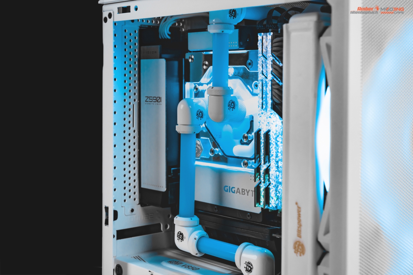 The Meshditerranean - Meshlicious Case x CM V850 SFX White ...